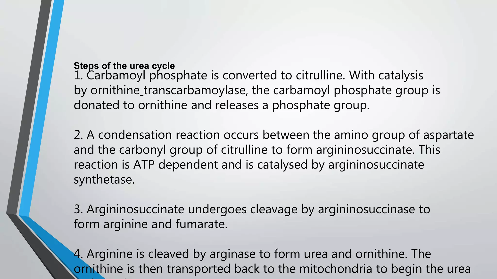 Urea cycle | PPTX