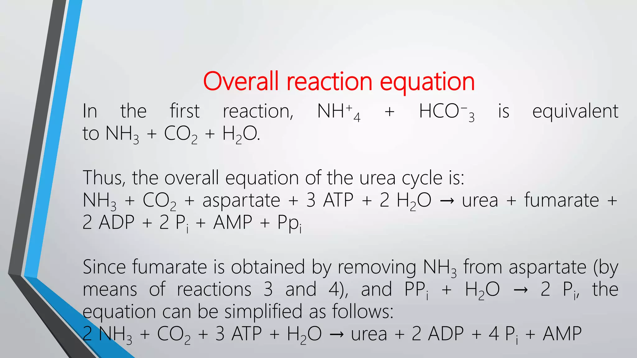 Urea cycle | PPTX