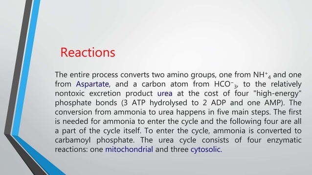 Urea cycle | PPTX