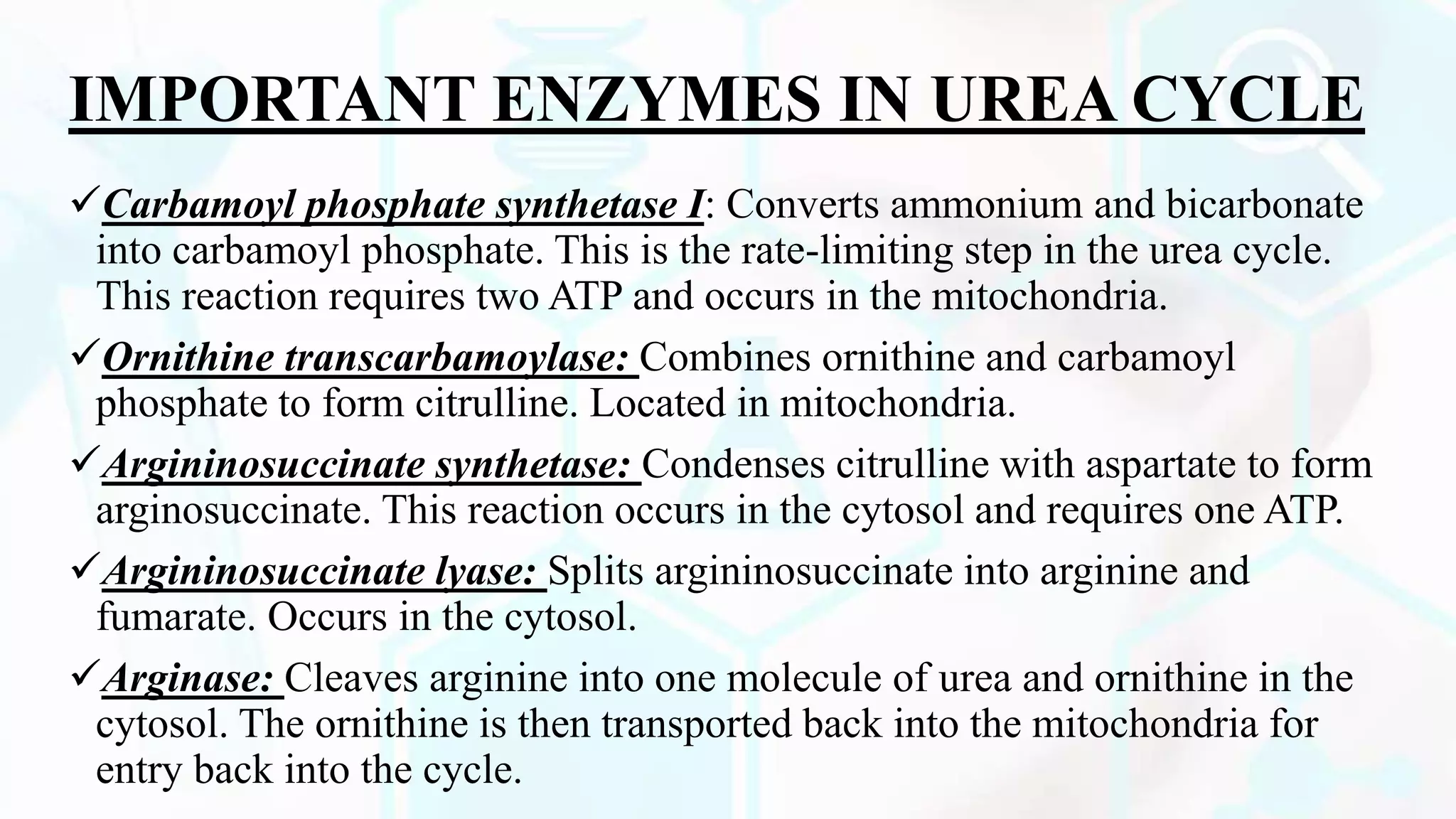 UREA CYCLE AND UREA CYCLE DISORDERS | PPTX