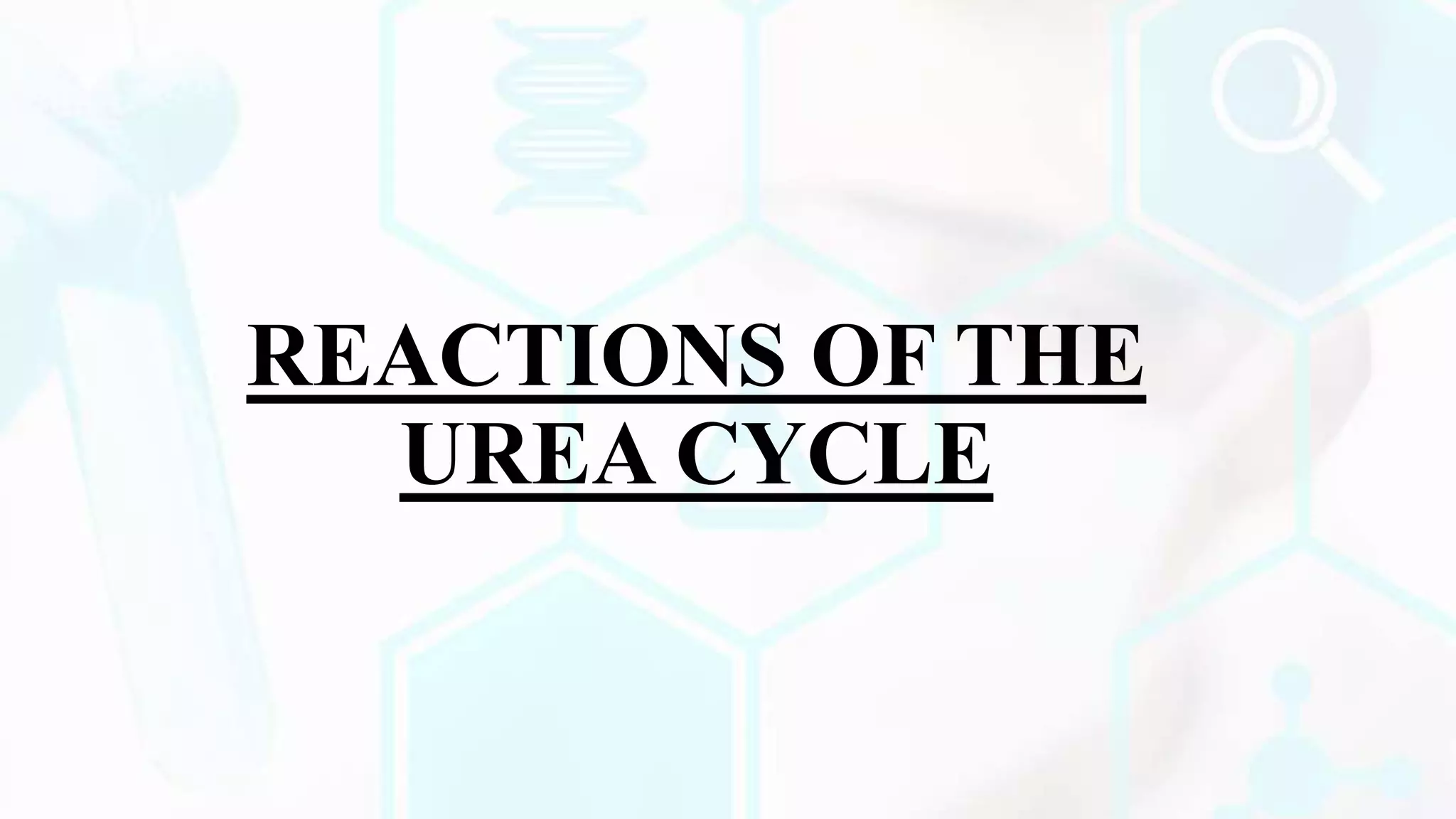 UREA CYCLE AND UREA CYCLE DISORDERS | PPTX