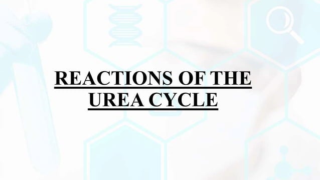 UREA CYCLE AND UREA CYCLE DISORDERS | PPTX | Chemistry | Science