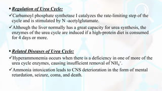 UREA CYCLE AND UREA CYCLE DISORDERS | PPTX