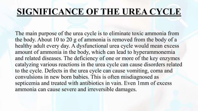 UREA CYCLE AND UREA CYCLE DISORDERS | PPTX | Chemistry | Science