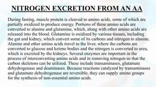 UREA CYCLE AND UREA CYCLE DISORDERS | PPTX