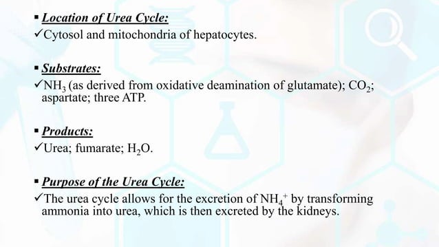 UREA CYCLE AND UREA CYCLE DISORDERS | PPTX | Chemistry | Science