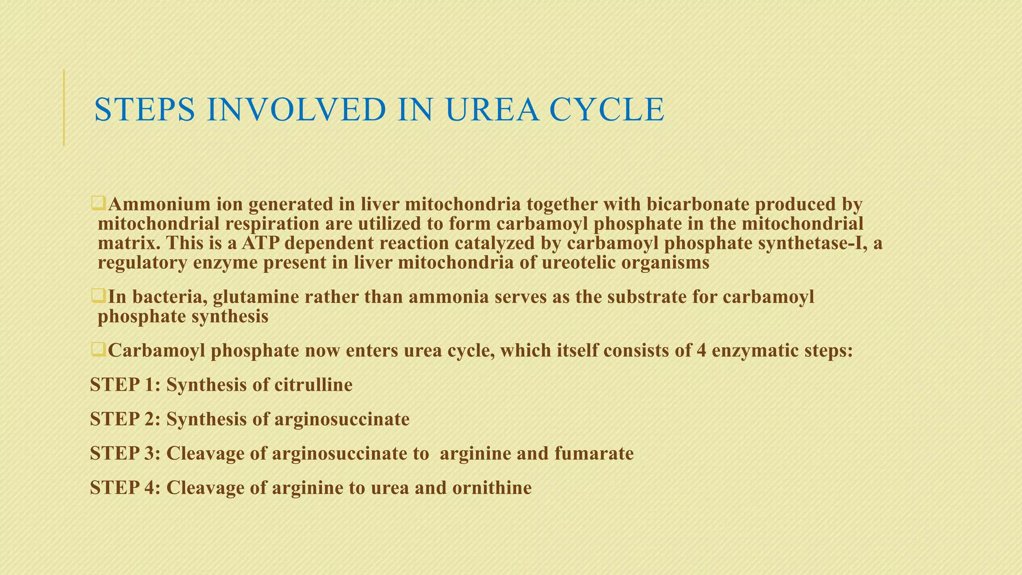 Urea cycle | PPT
