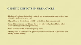 Urea cycle | PPT