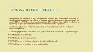 Urea cycle | PPT