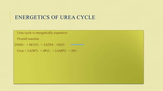 Urea cycle | PPT