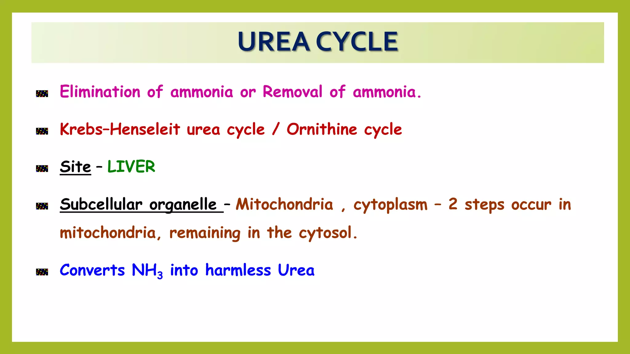 Urea cycle and disorder | PPTX