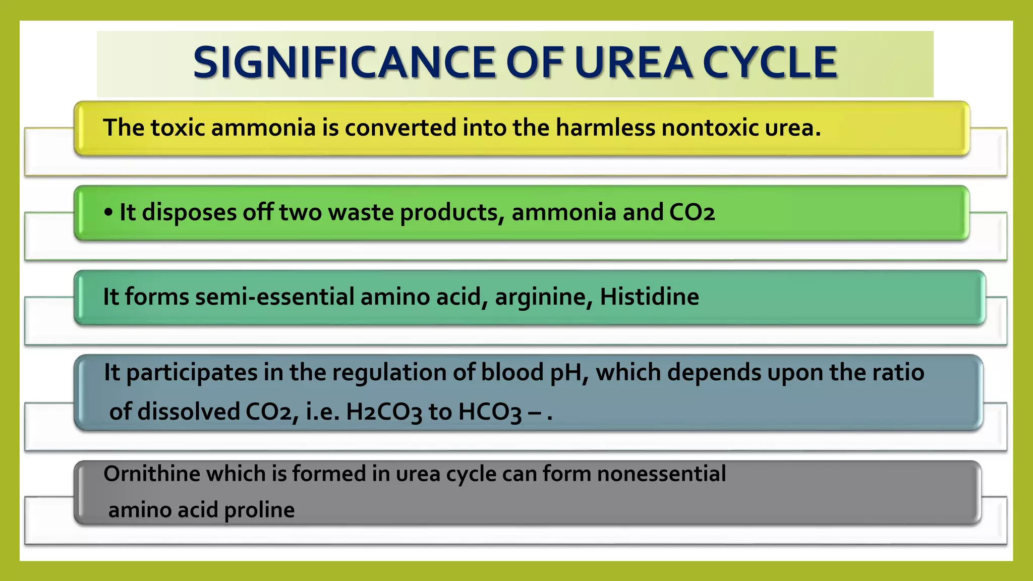 Urea cycle and disorder | PPTX