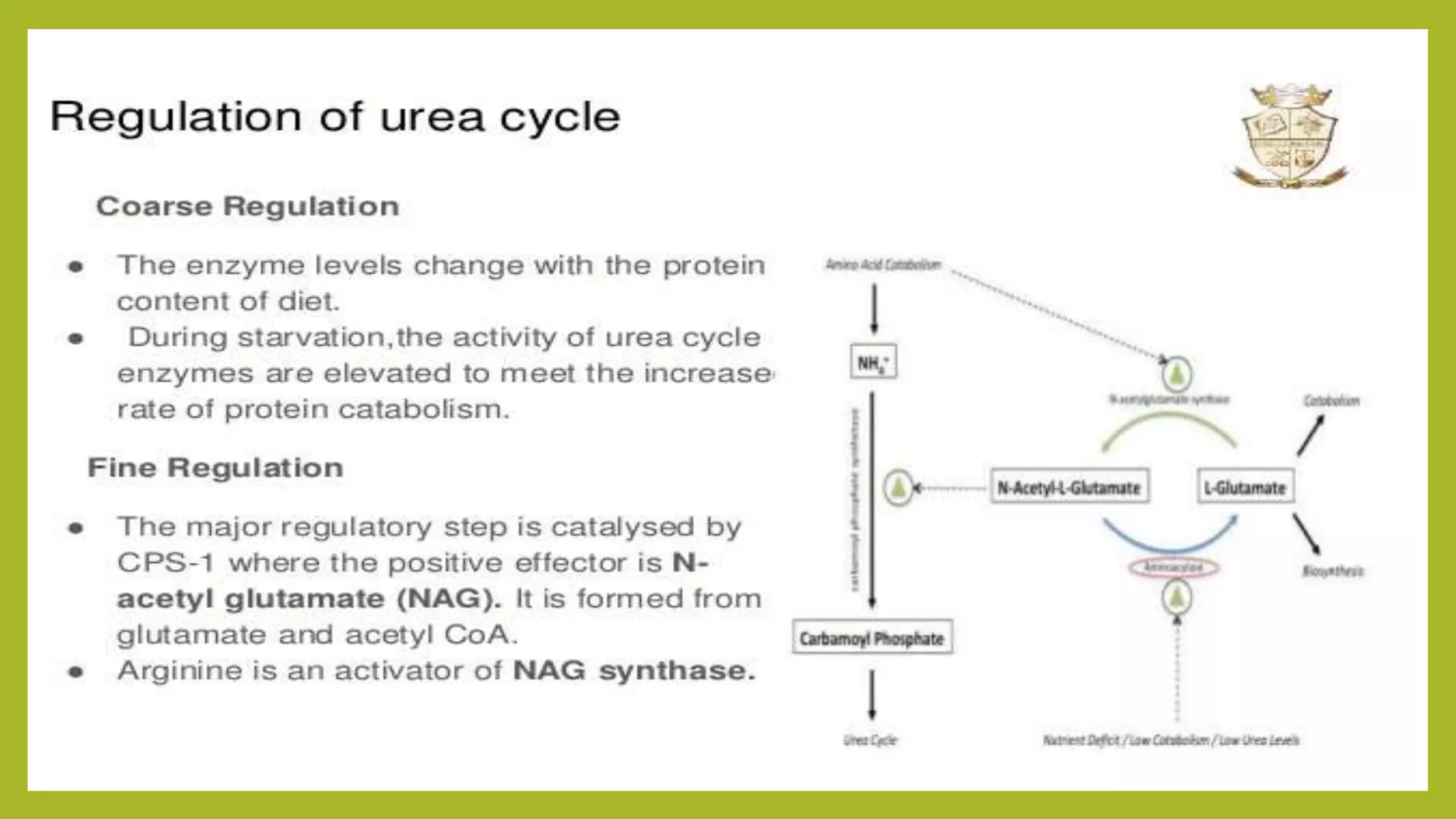 Urea cycle and disorder | PPTX