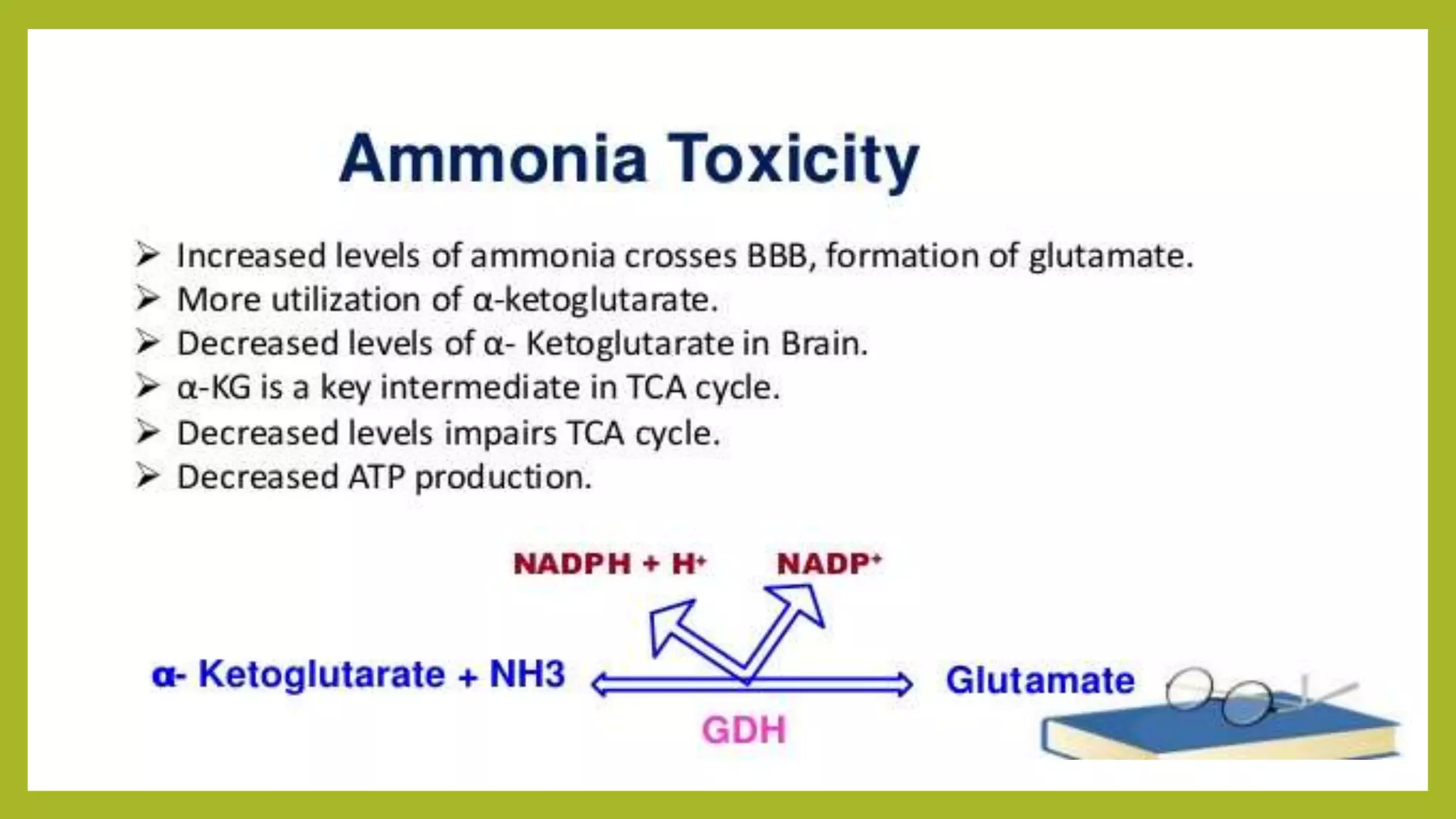 Urea cycle and disorder | PPTX