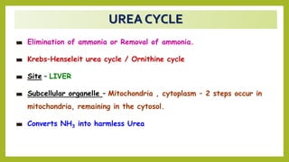 Urea cycle and disorder | PPTX