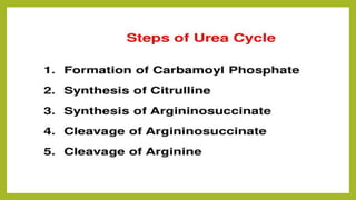 Urea cycle and disorder | PPTX