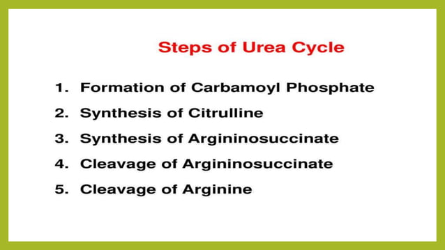 Urea cycle and disorder | PPTX