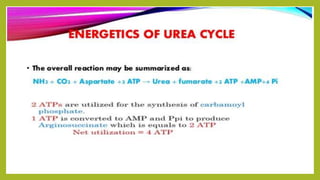 Urea cycle and disorder | PPTX