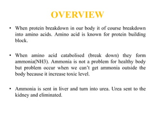Urea cycle | PPT