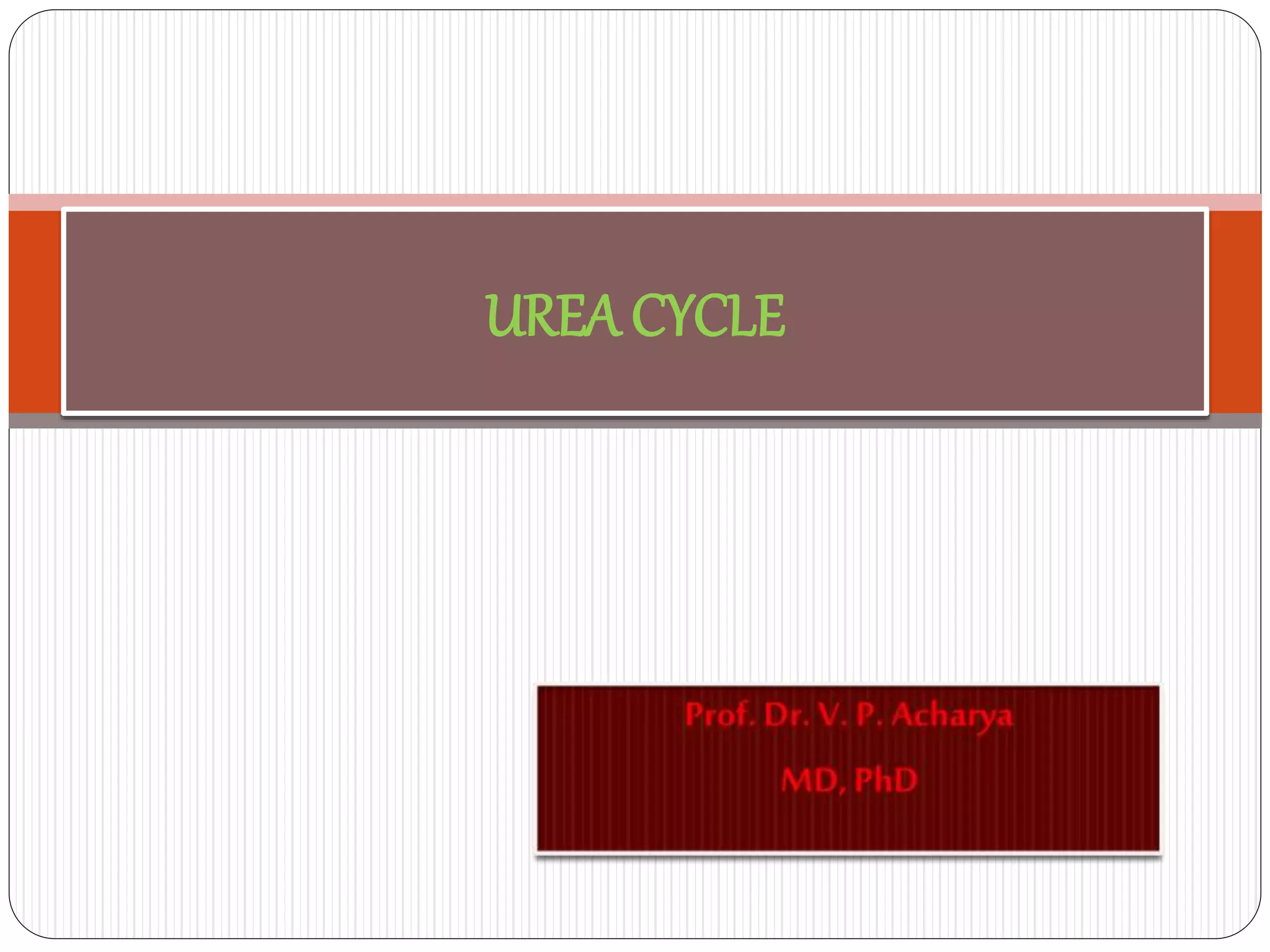 Urea cycle | PPTX