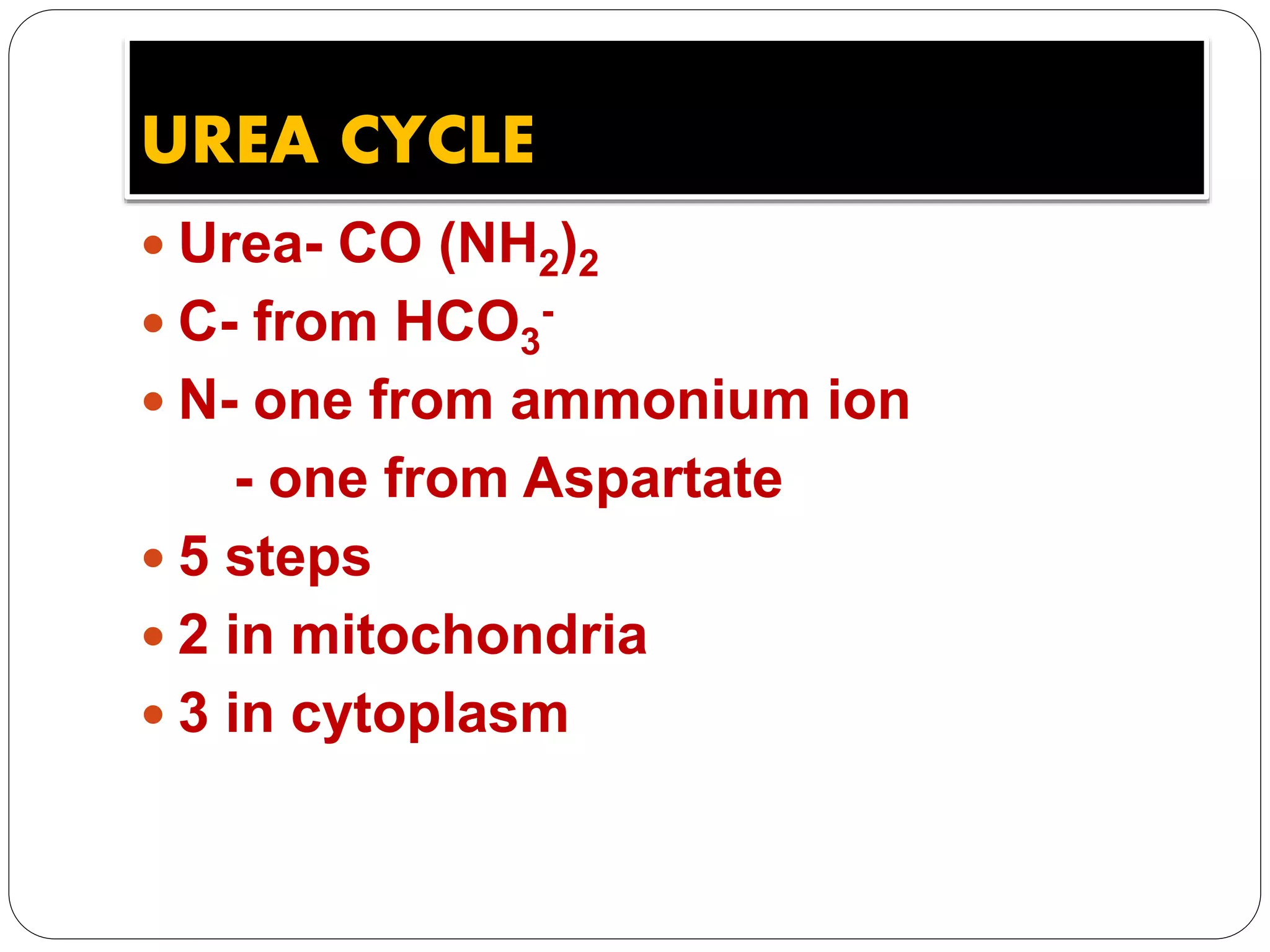 Urea cycle | PPTX