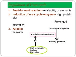 Urea cycle | PPTX