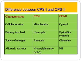 Urea cycle | PPTX