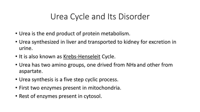urea cycle.pptx