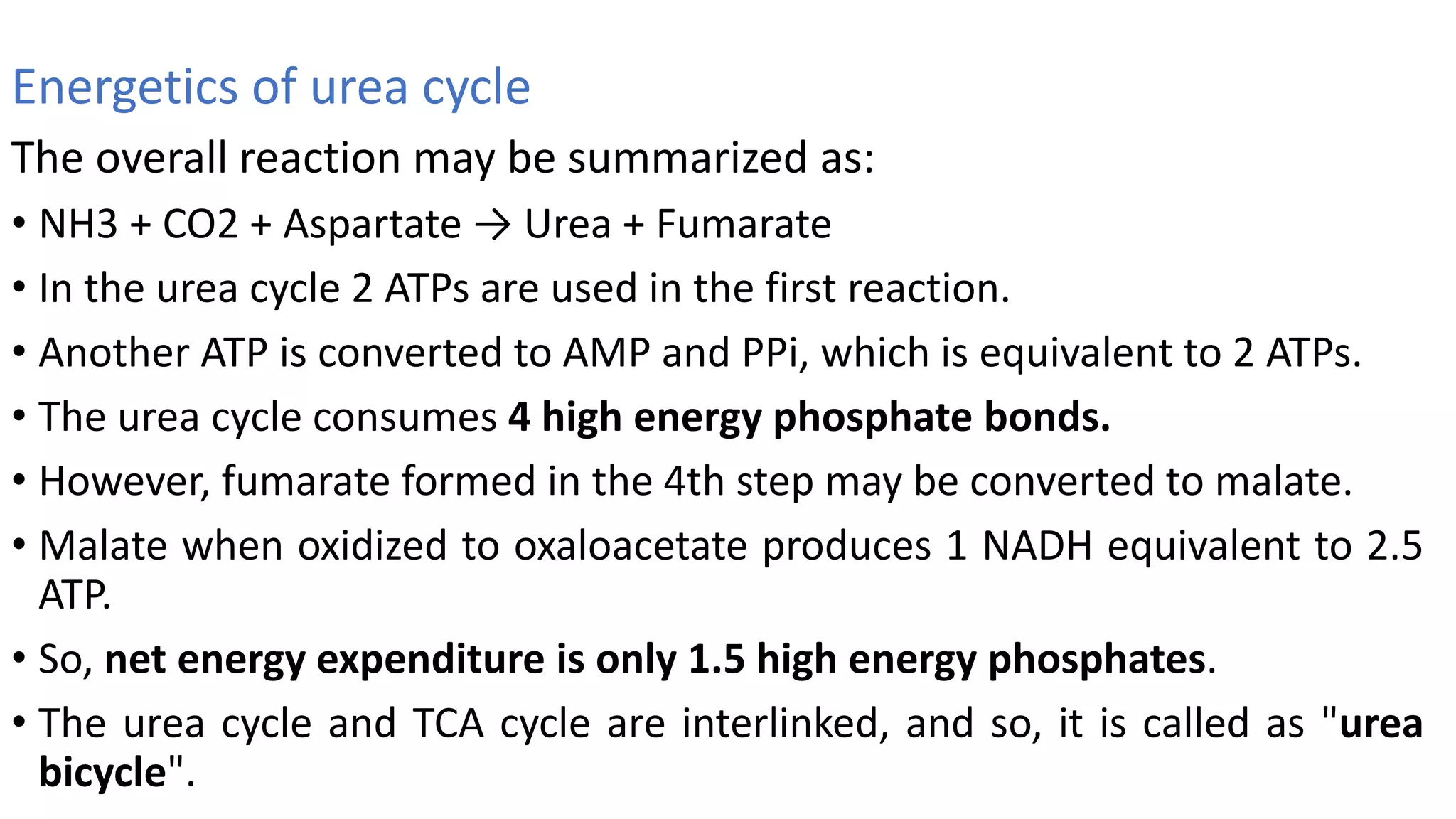 urea cycle.pptx