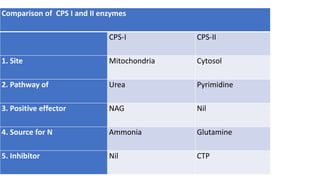urea cycle.pptx