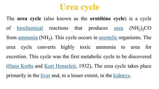 Urea cycle.pptx