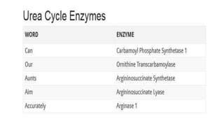 Urea cycle.pptx