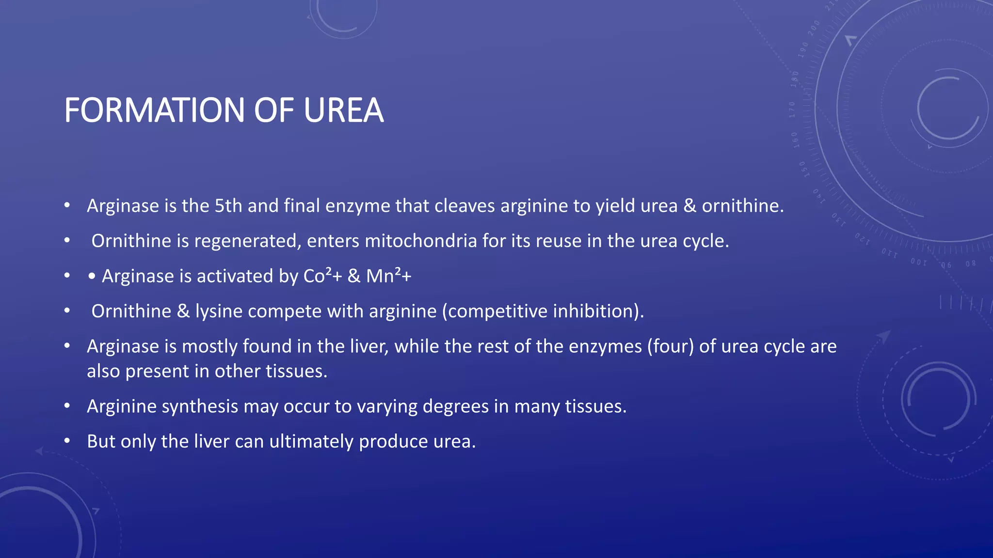 urea cycle.pptx | Chemistry | Science