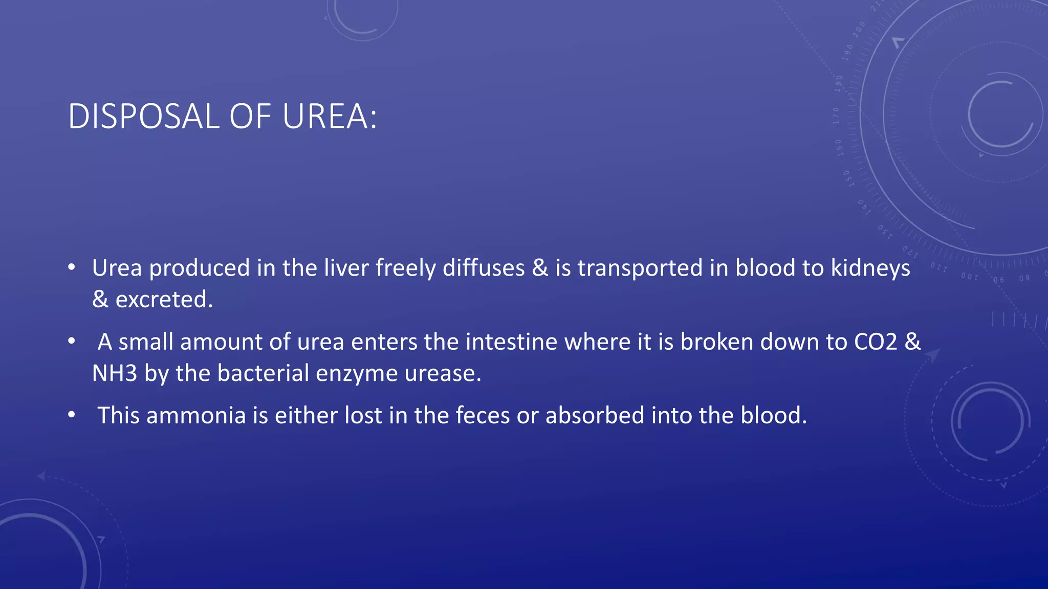 urea cycle.pptx | Chemistry | Science