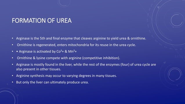 urea cycle.pptx | Chemistry | Science