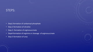 urea cycle.pptx | Chemistry | Science
