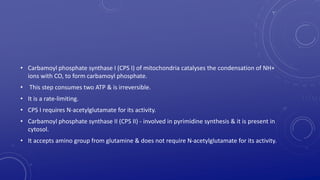 urea cycle.pptx | Chemistry | Science