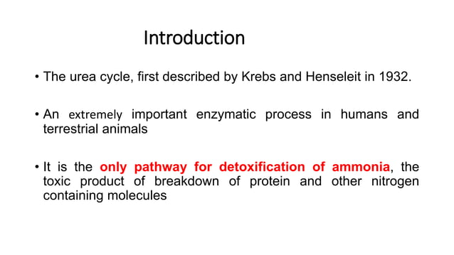urea cycle.pptx