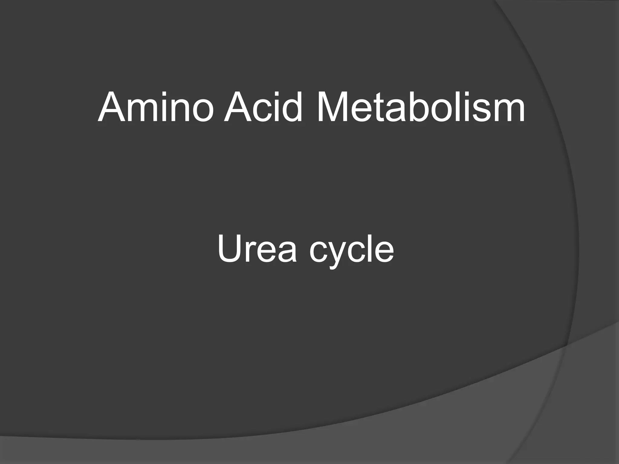Urea cycle.ppt