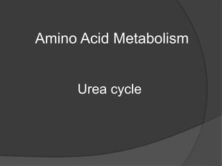 Urea cycle.ppt