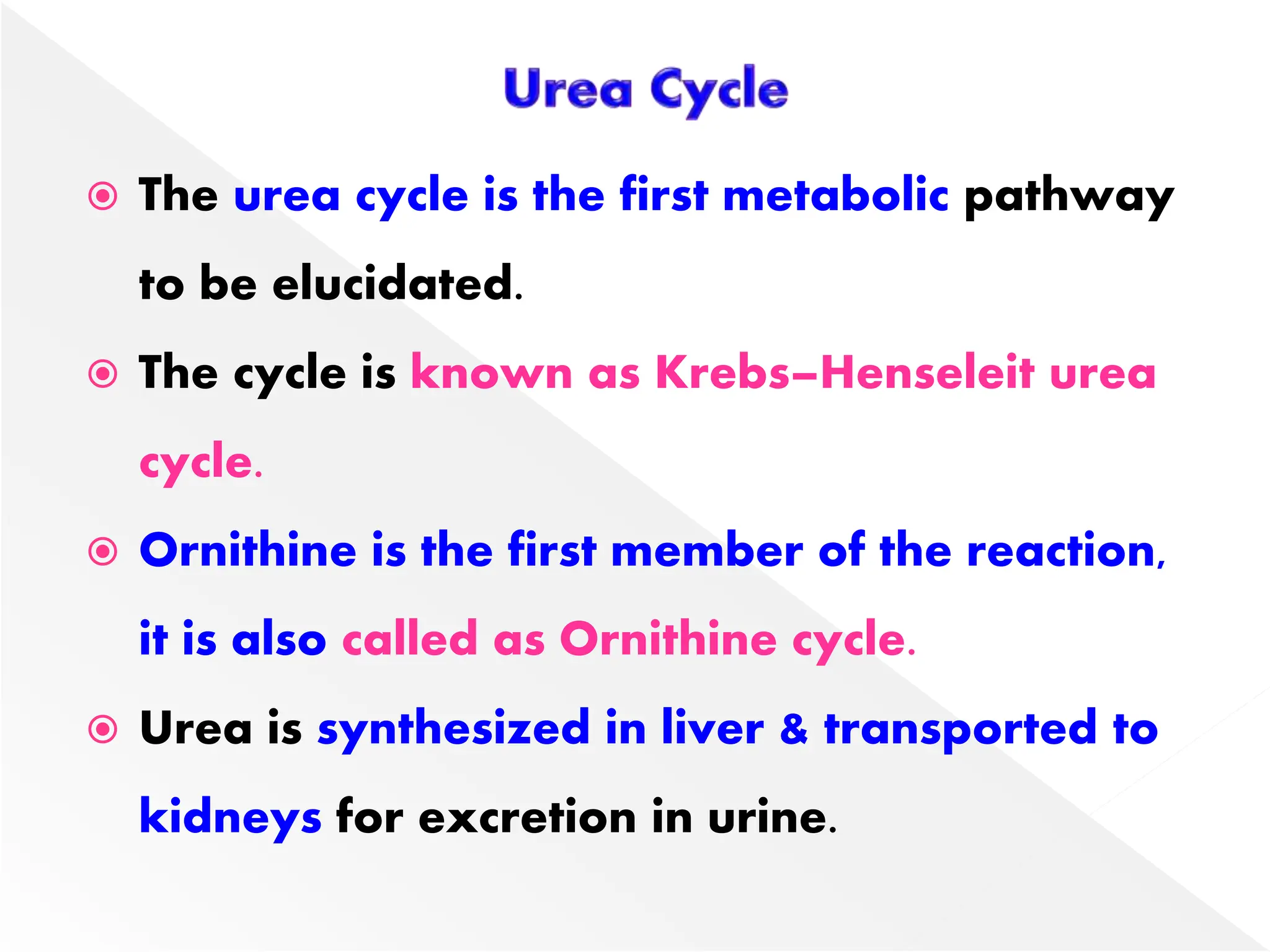 Urea Cycle | helpful notes in bsc 3rd semester | PDF