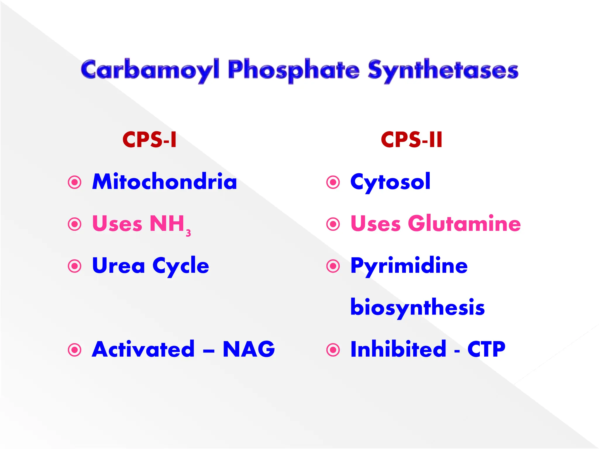 Urea Cycle | helpful notes in bsc 3rd semester | PDF