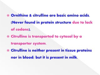Urea Cycle | helpful notes in bsc 3rd semester | PDF