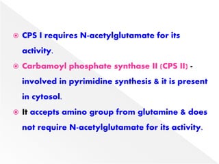 Urea Cycle | helpful notes in bsc 3rd semester | PDF