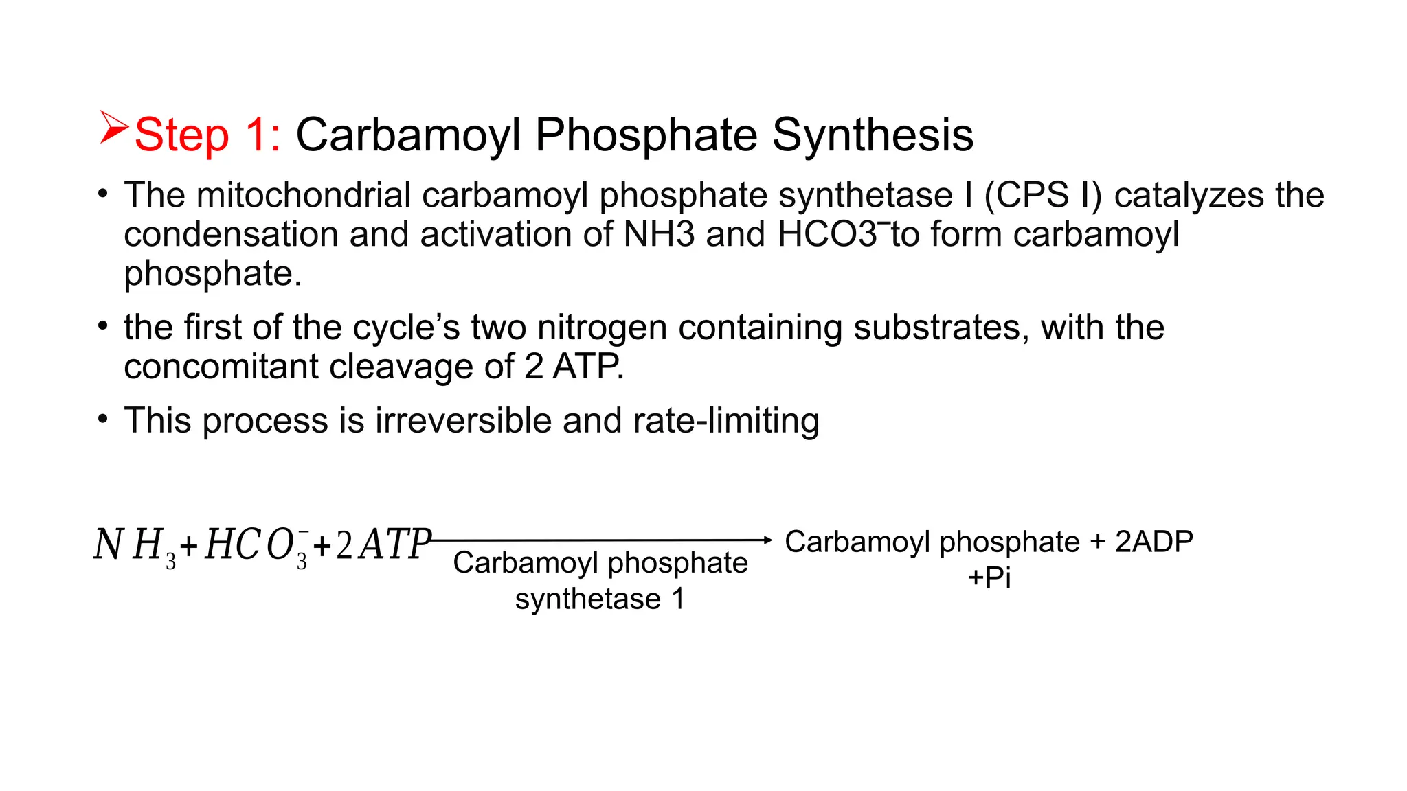 Urea Cycle in Fish PowerPoint .pptx | Chemistry | Science
