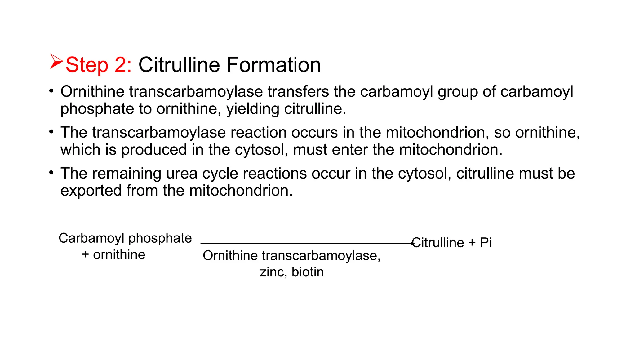 Urea Cycle in Fish PowerPoint .pptx | Chemistry | Science