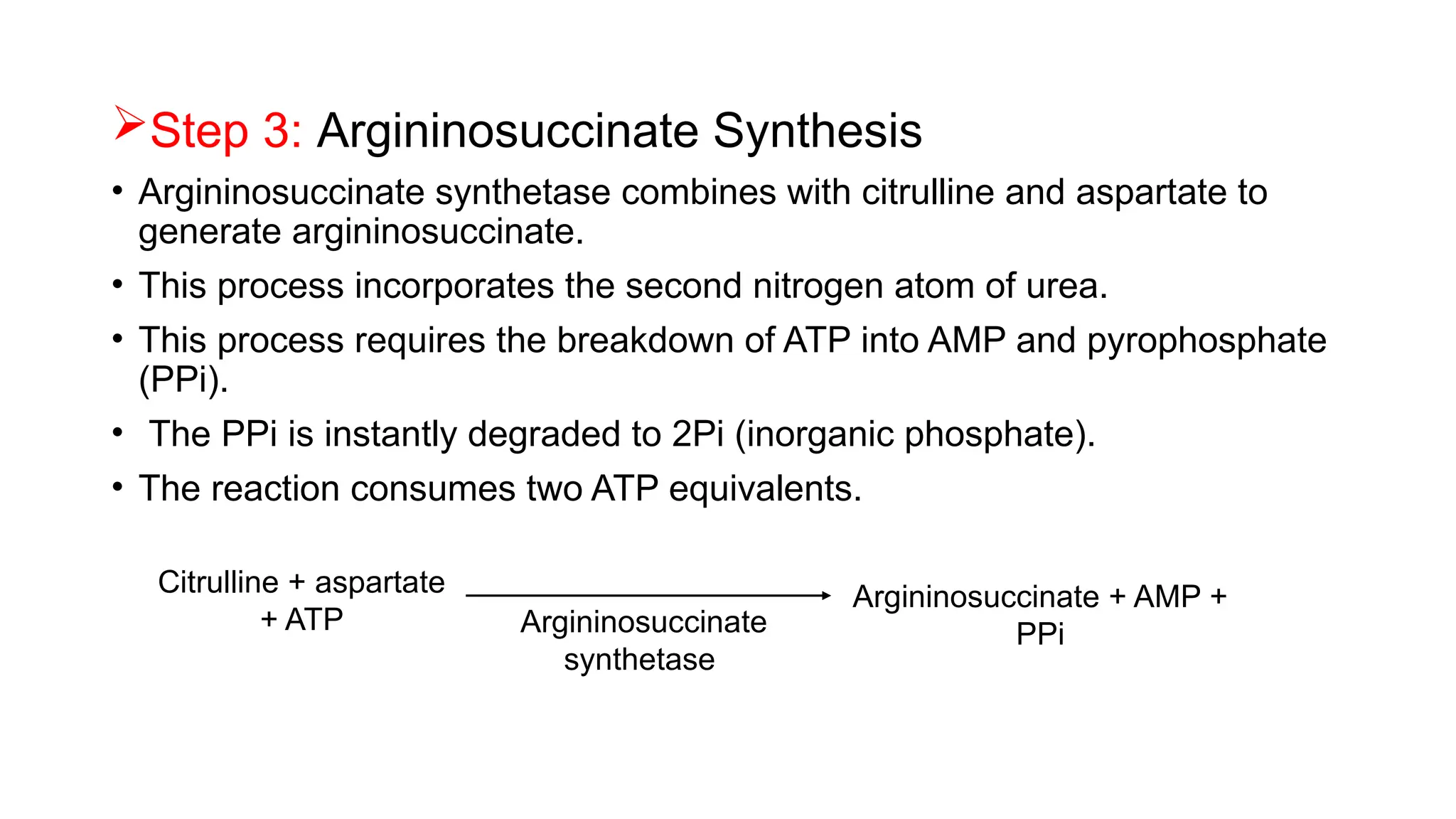 Urea Cycle in Fish PowerPoint .pptx | Chemistry | Science