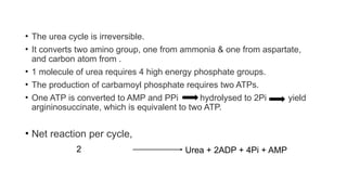 Urea Cycle in Fish PowerPoint .pptx | Chemistry | Science