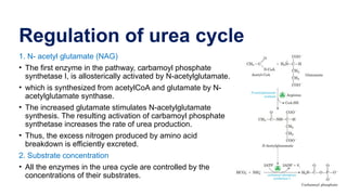 Urea Cycle in Fish PowerPoint .pptx | Chemistry | Science