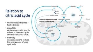 Urea Cycle in Fish PowerPoint .pptx | Chemistry | Science
